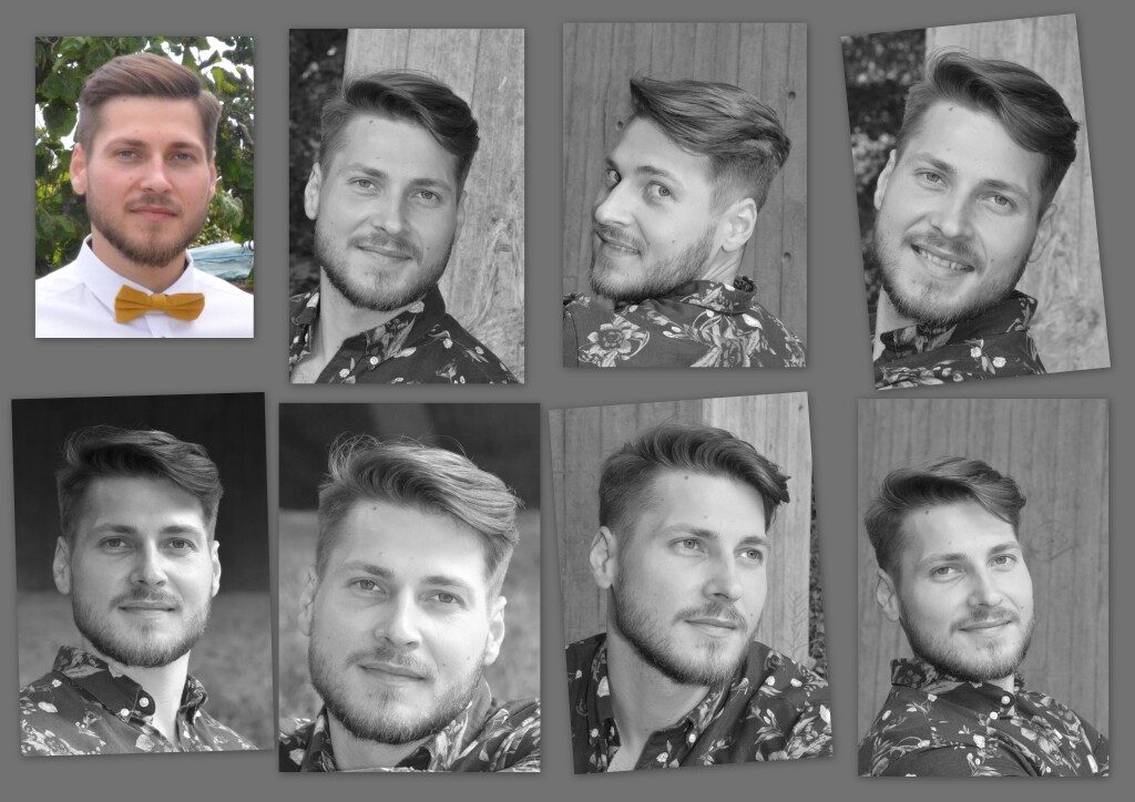 Silviu | Men's Cut - Hammelev